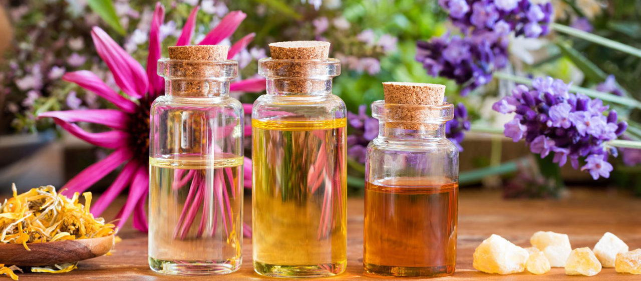 Huile végétale, macérât huileux : Comment les différencier ? - Prodigia ...